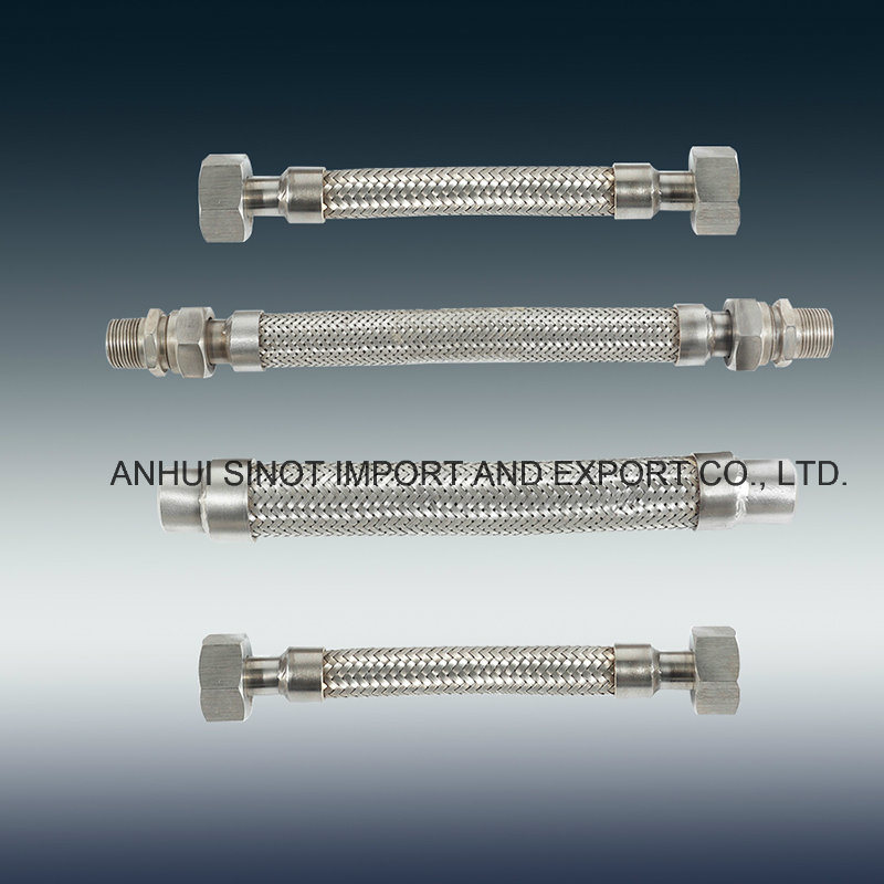 Dn10--Dn40 Flexible Braided Hoses