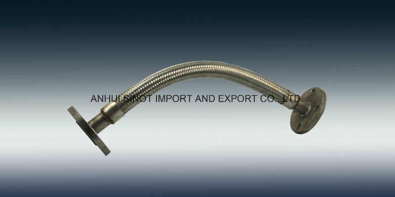 Dn10--Dn40 Flexible Braided Hoses